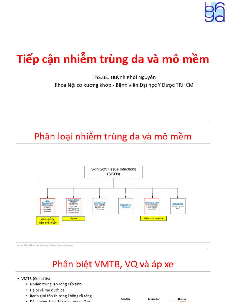 Tiếp cận nhiễm trùng da và mô mềm - Bs Nguyên | PDF