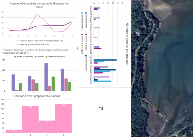 graphs relative to plastic correlation to shore distance | PDF