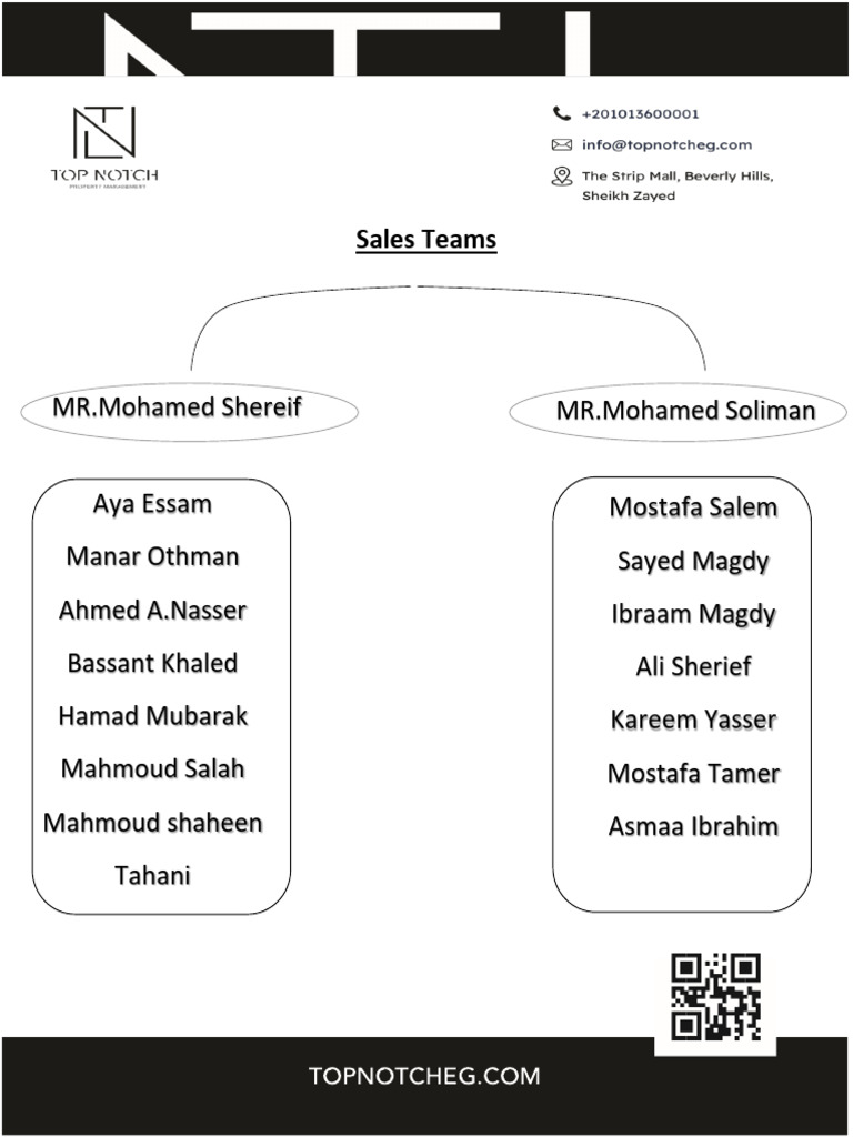 Sales Teams | PDF