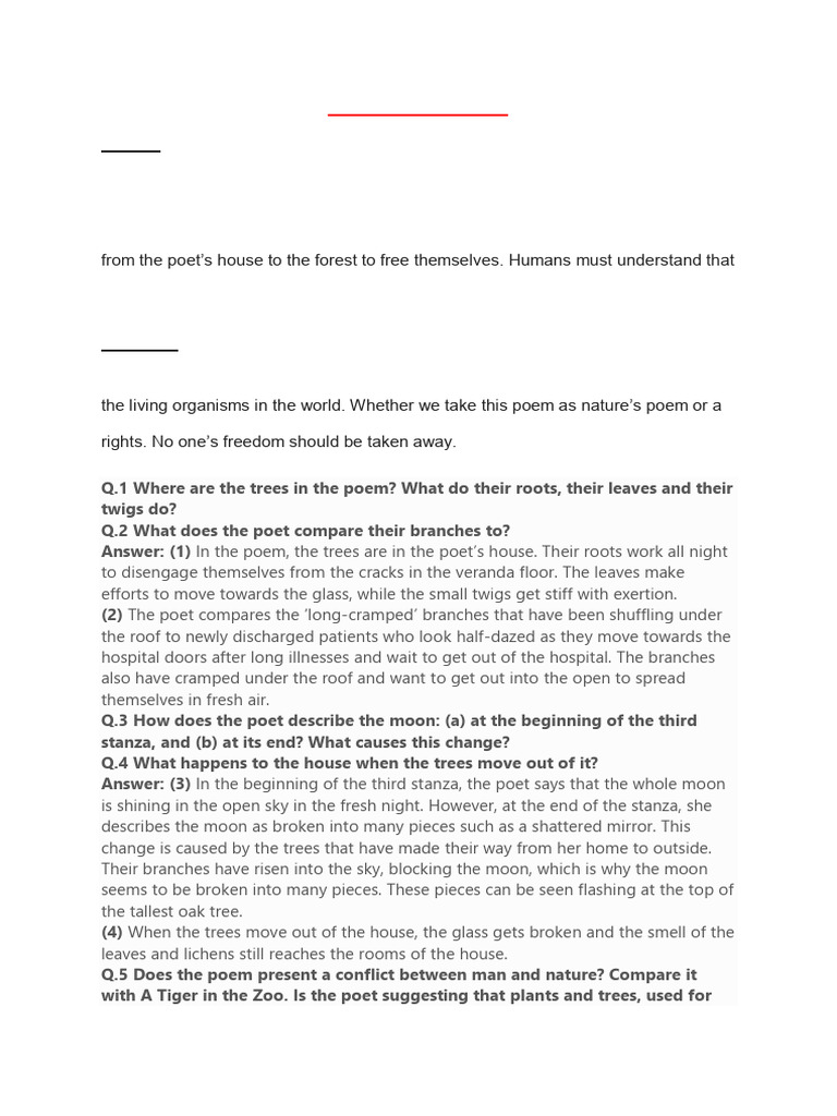 Literature Notes | PDF | Trees | Flight Attendant