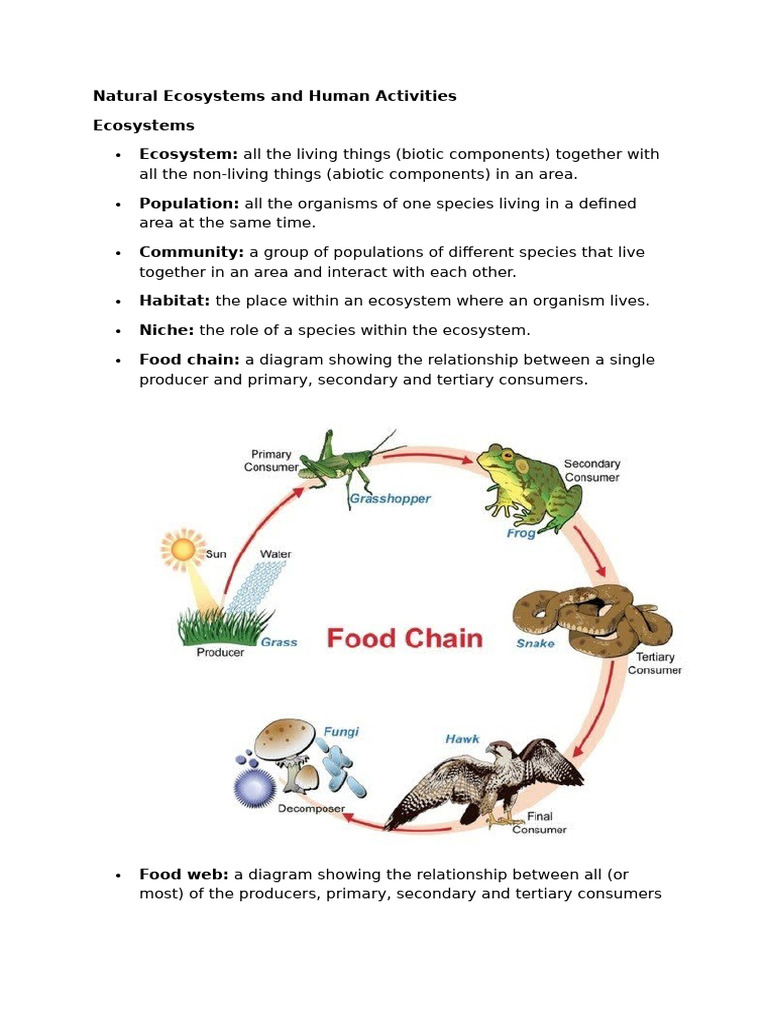Natural Ecosystems and Human Activities | PDF | Ecosystem | Food Web