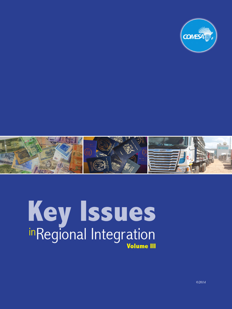 Key Issues in Regional Integration III | PDF | Free Trade Area ...