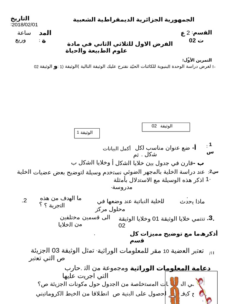 Dzexams 2as Sciences 1128167 | PDF