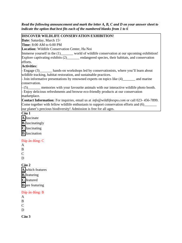 đề 3 TA | PDF | Educational Technology | Sibling