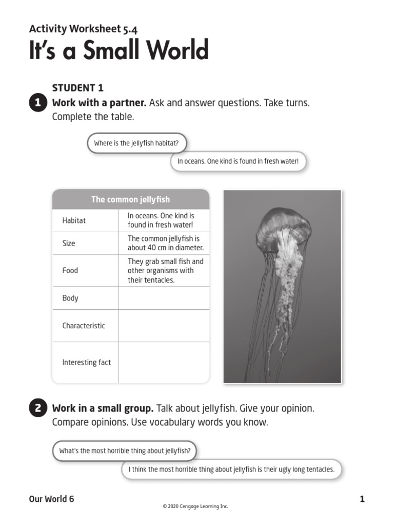 Jellyfish Facts for Kids | PDF