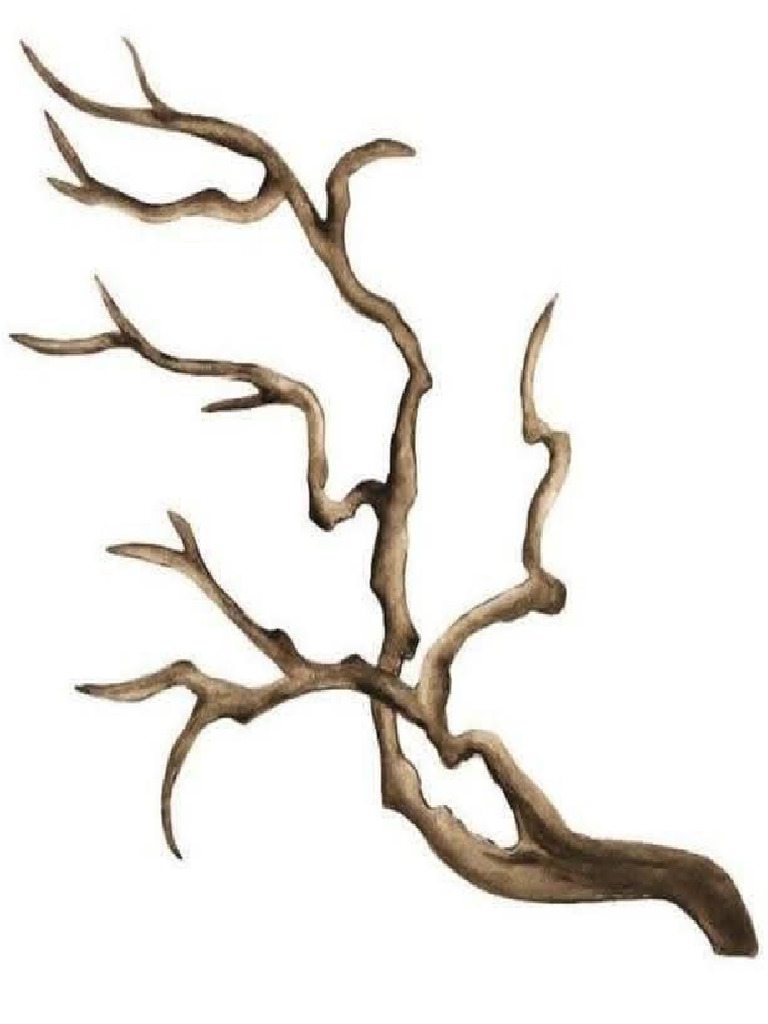 Aplicatie de Primavara | PDF