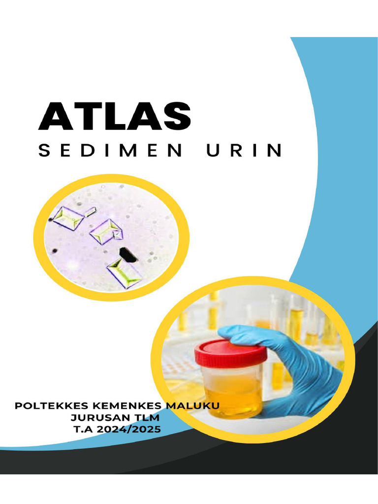 Atlas Sedimen Urin | PDF