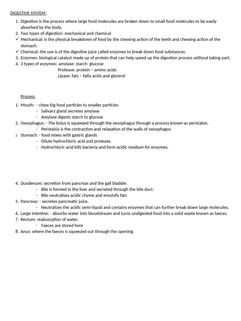 Digestive System Notes | PDF