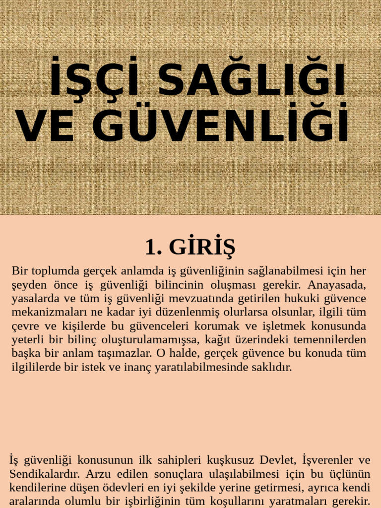 Isg 1 Giris | PDF