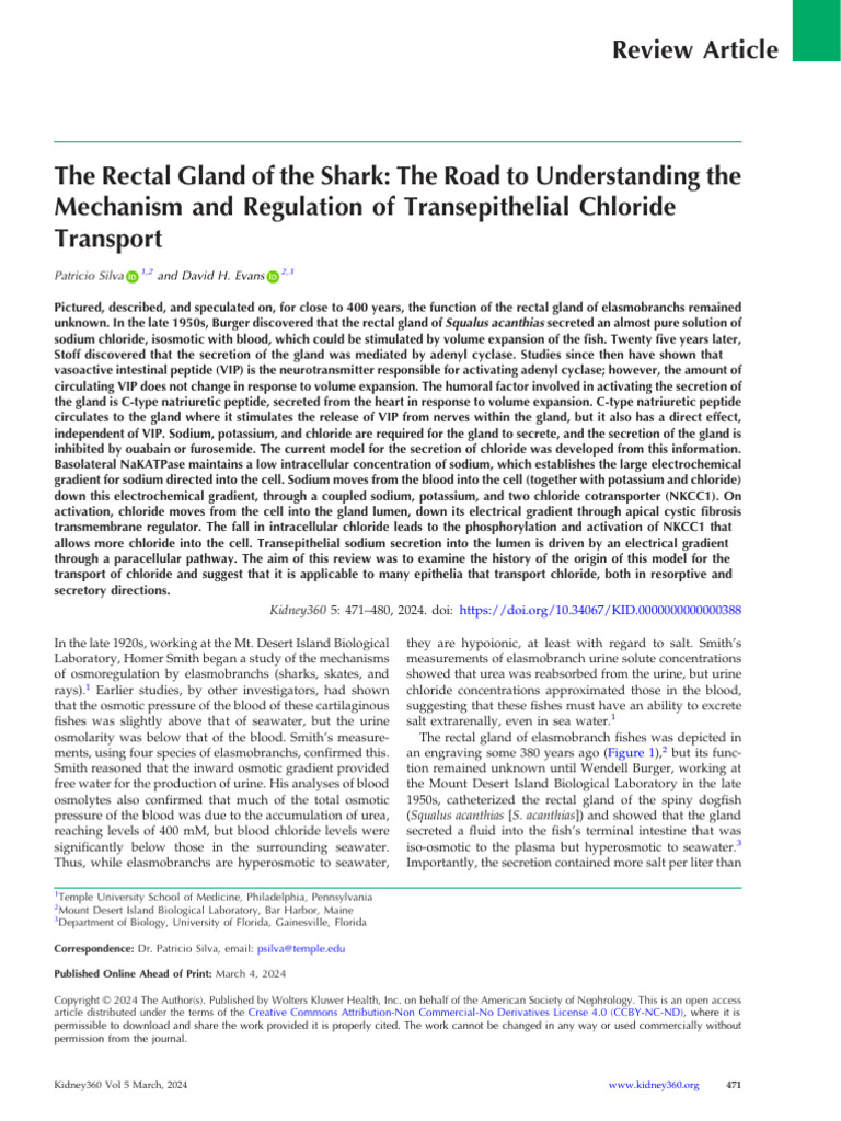 The_Rectal_Gland_of_the_Shark_The_Road_to_Understa | PDF | Cell Biology
