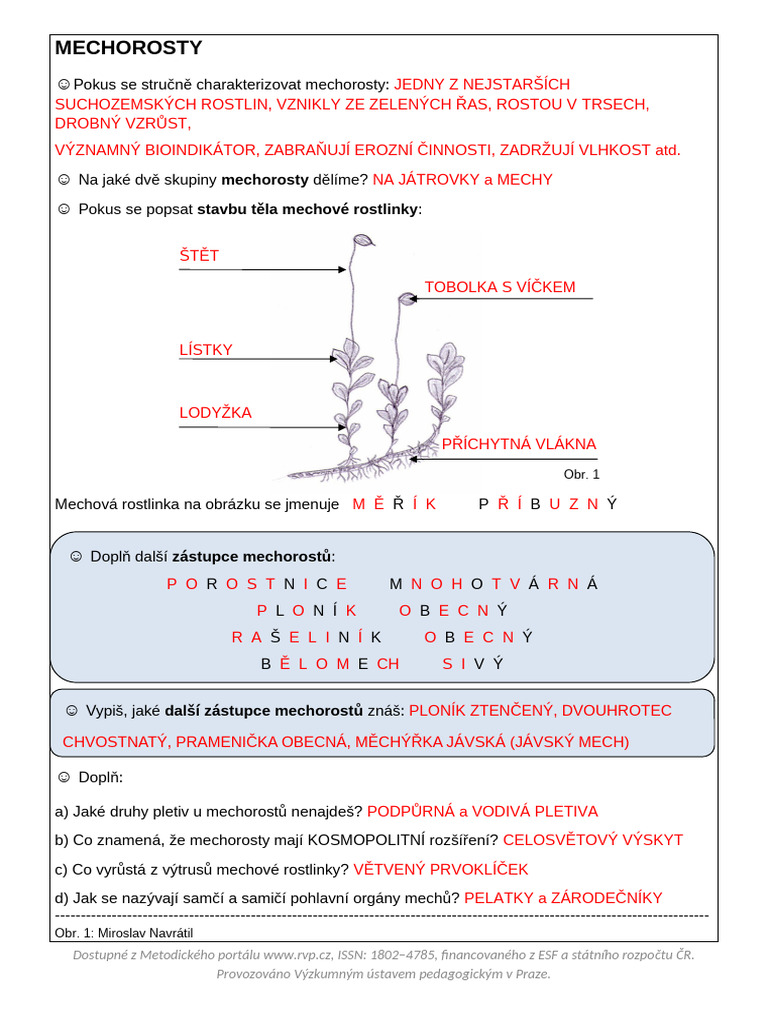 Mechorosty - Řešení | PDF