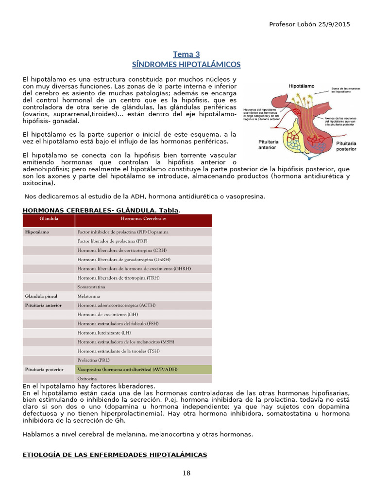 Cuadros Hipotalámicos | PDF | Glándula pituitaria | Hipotálamo