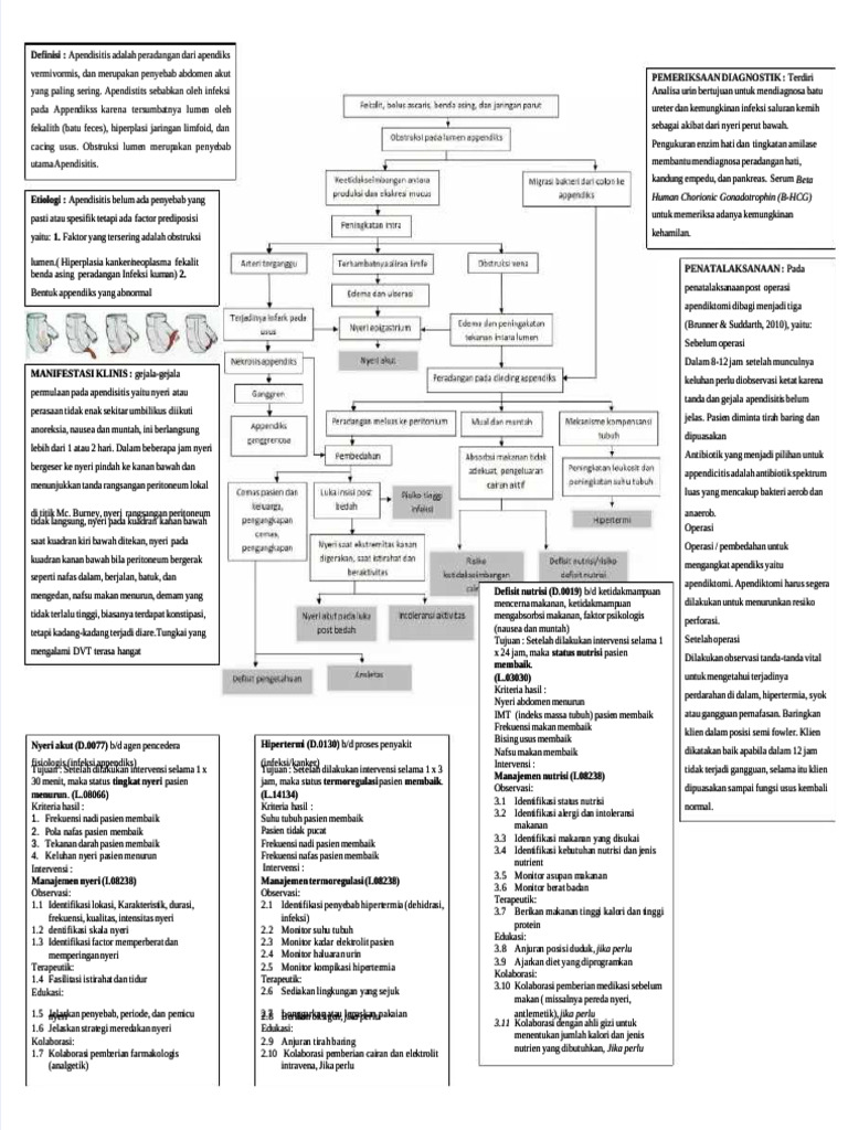 WOC APENDISITIS | PDF
