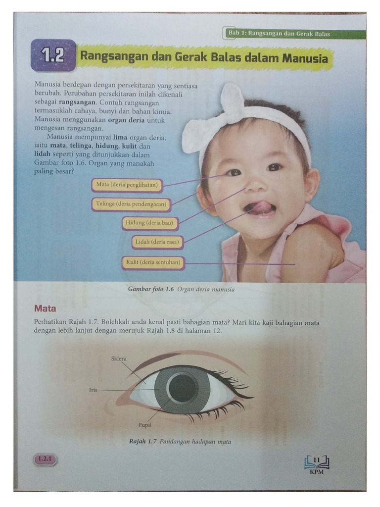 Buku Teks Sains t3 Bab 1.2 | PDF