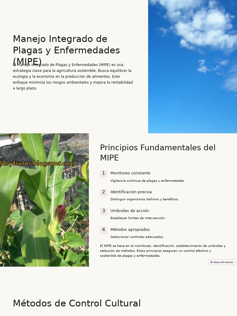 Manejo Integrado de Plagas y Enfermedades MIPE | PDF | Plaga (organismo) | Agricultura