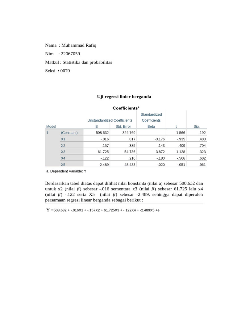 Muhammad Rafiq | PDF