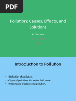 Pollution Presentation | PDF