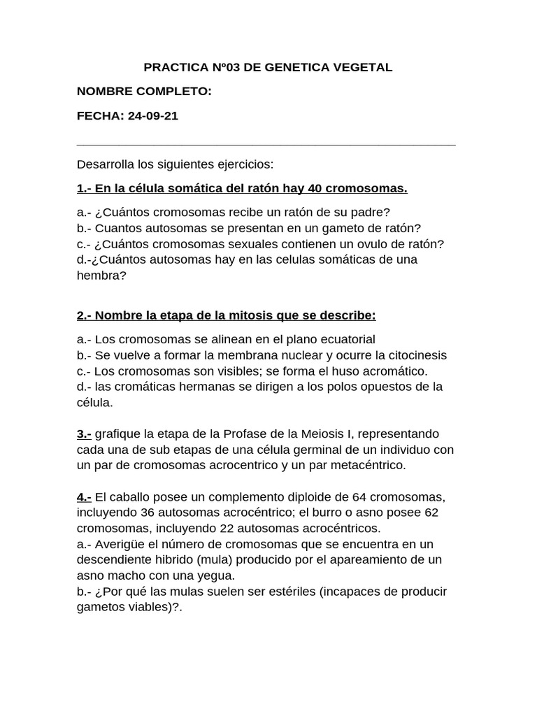 PRACTICA+N%C2%BA03 | PDF