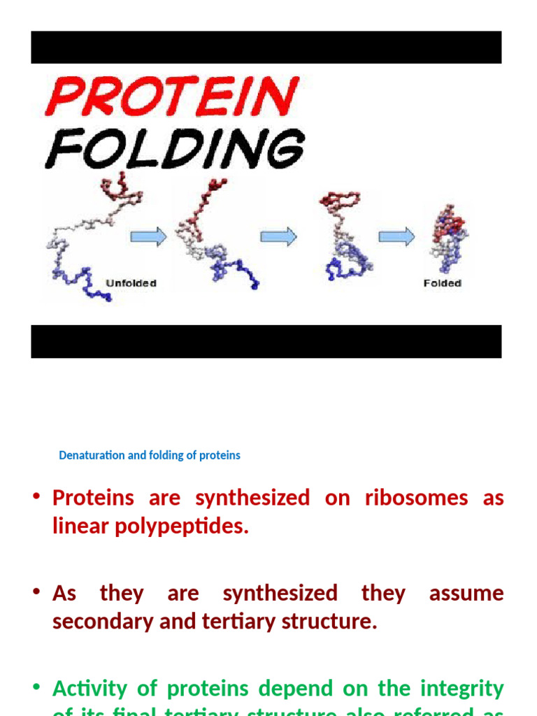Protein Folding and Misfolding Mechanisms | PDF | Protein Folding | Amyloid