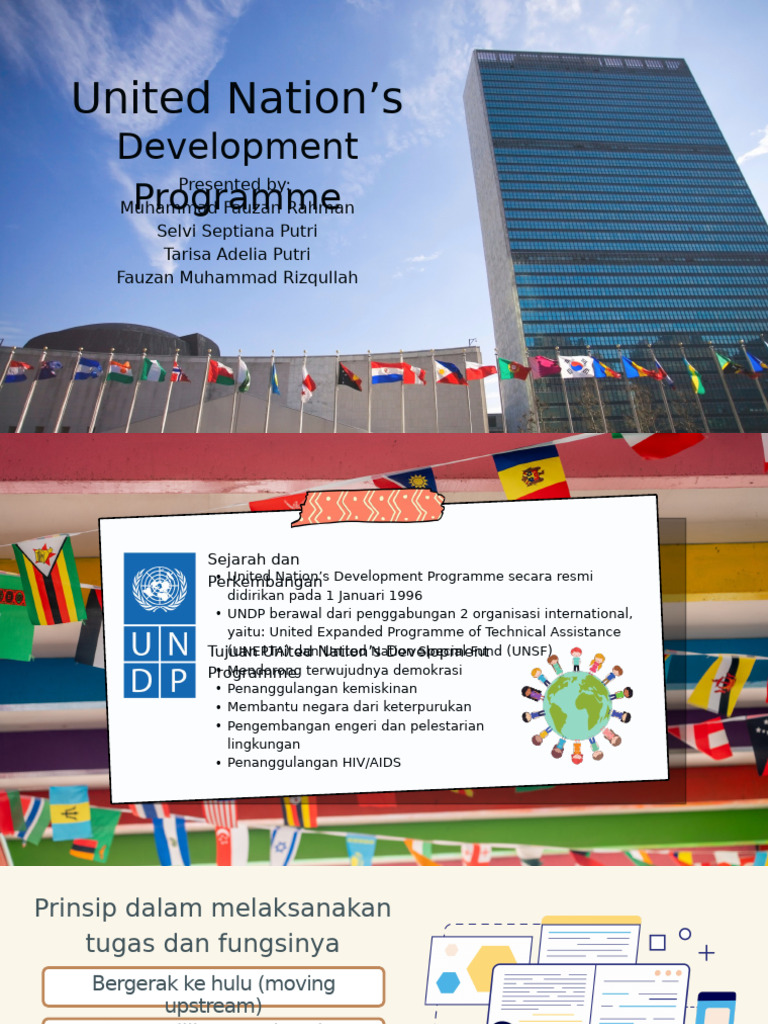Undp | PDF