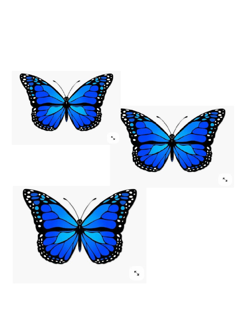 Butterflies | PDF