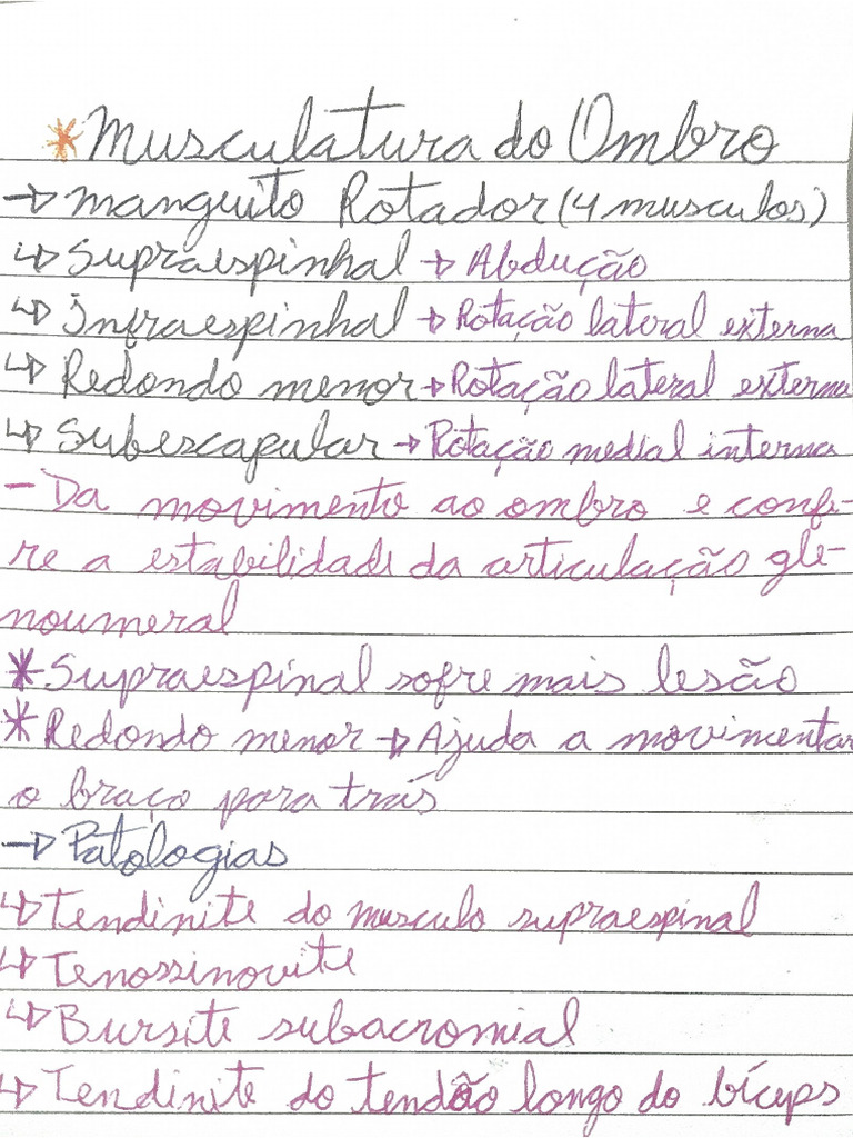 Músculo Do Ombro | PDF