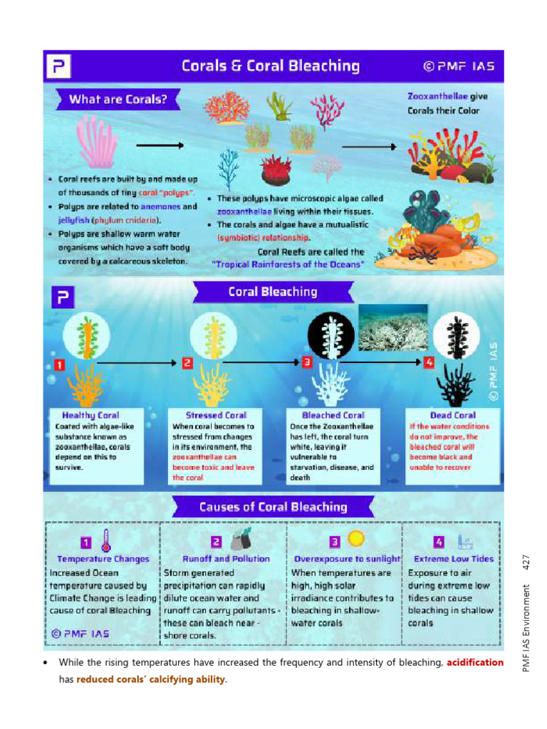 Coral Reef PMF One Pager 555 | PDF