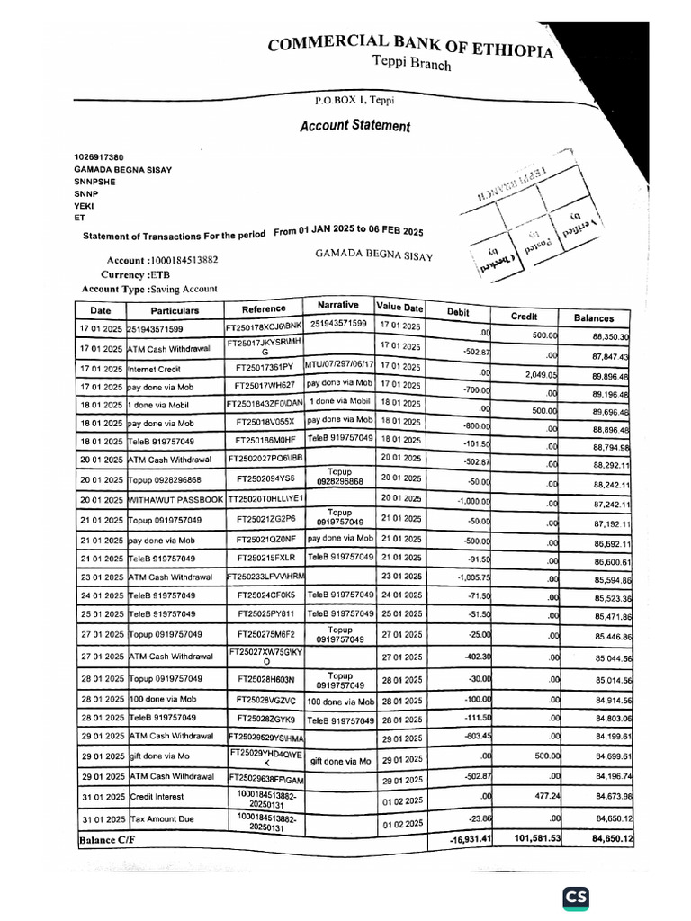 A Validated Financial Statement Issued by Sufficient Funds | PDF