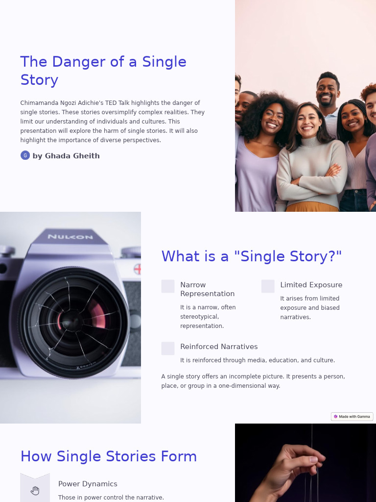 The Danger of A Single Story | PDF | Stereotypes | Social Stigma