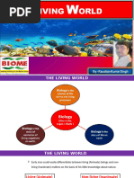 Animal Kingdom Flow Chart | PDF | Biology | Zoology