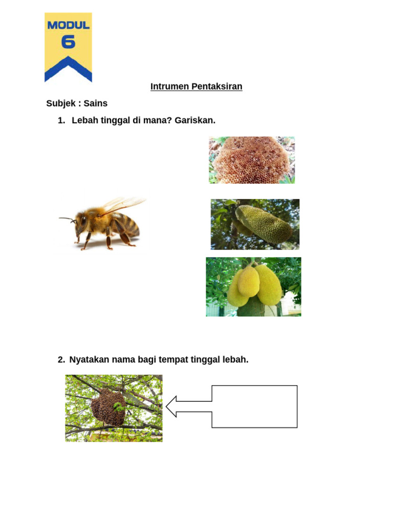 Intrumen Pentaksiran | PDF