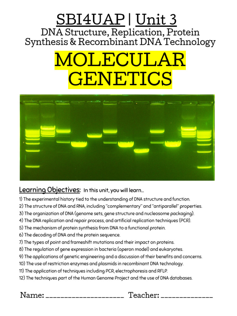 SBI4UAP - Unit 3 - Molecular Genetics - WORKBOOK | PDF | Operon | Dna ...