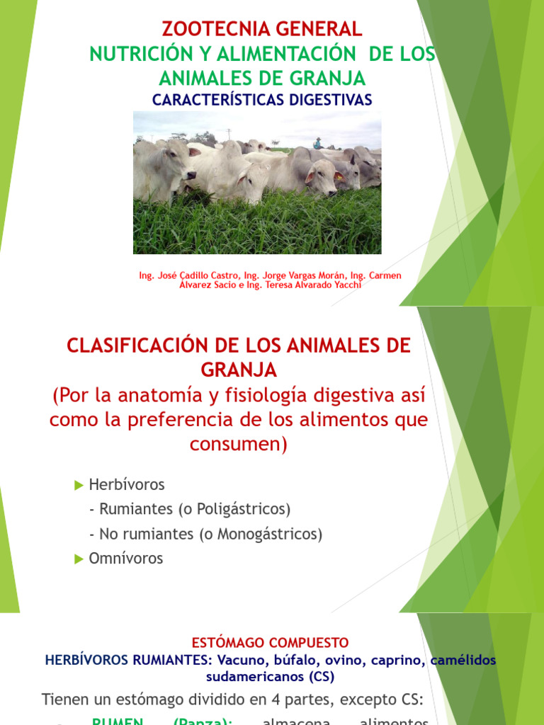 Nutrición y Alimentación General | PDF | Rumiante | Alimentos