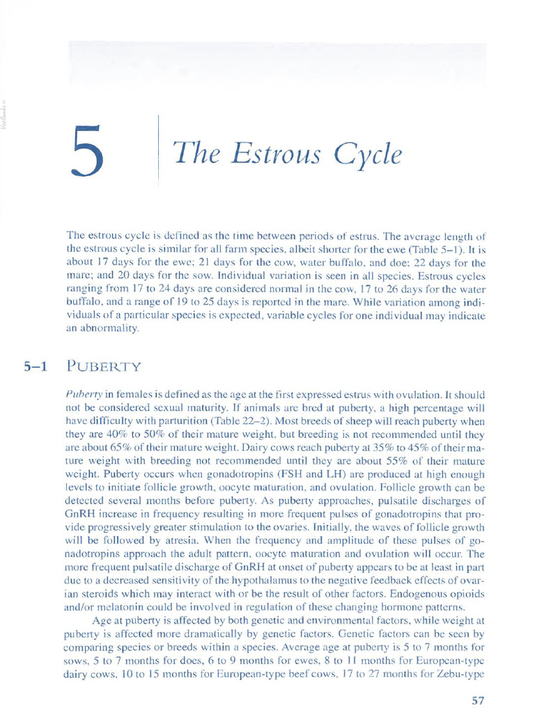 The Estrus Cycle | PDF