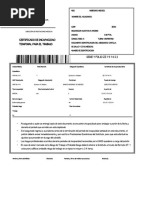 Formato Incapacidad Imss Editable Word | PDF