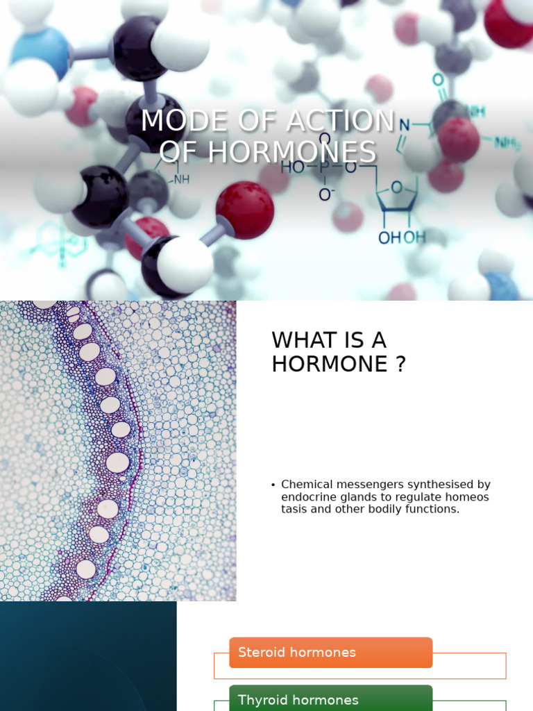 Hormones: Types and Functions Explained | PDF