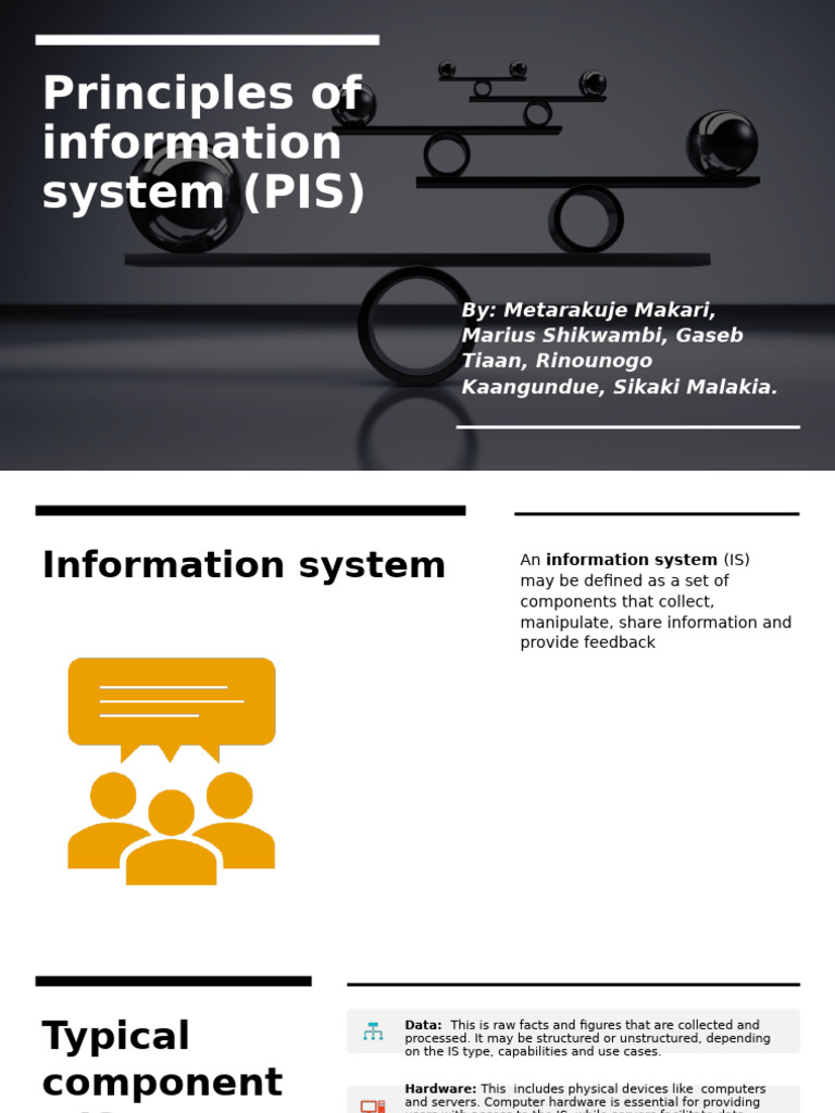 Princeples of information system | PDF | Information | System
