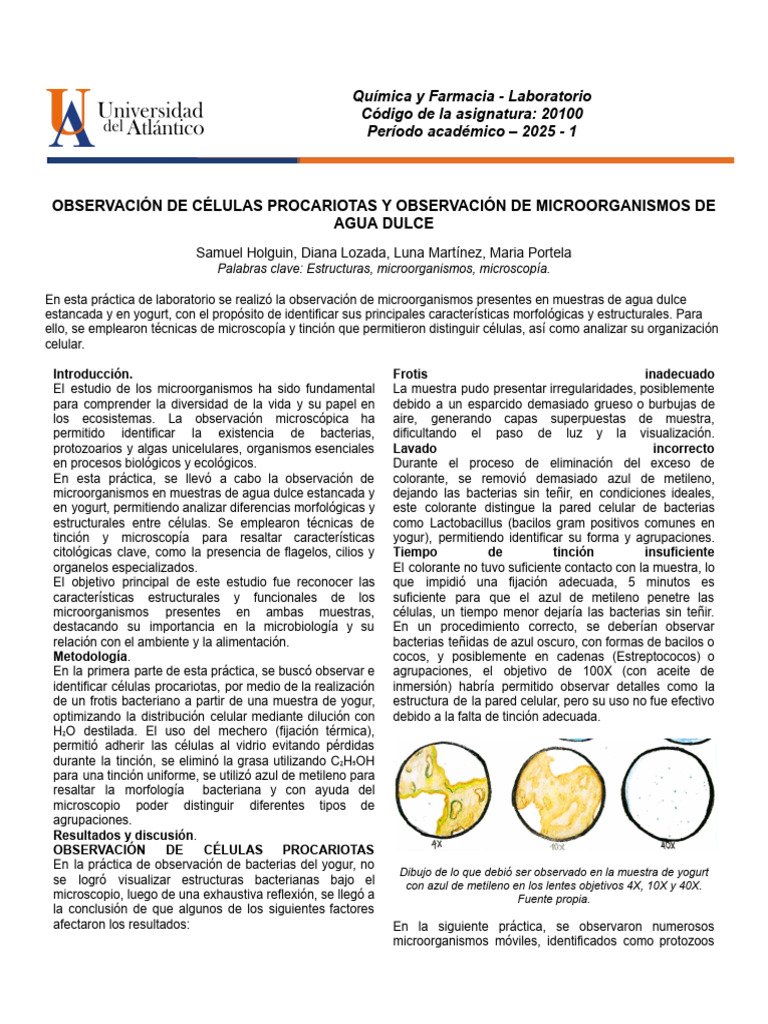 OBSERVACIÓN DE MICROORGANISMOS Y BACTERIAS.docx (1) | PDF | Las bacterias | Biología Celular)