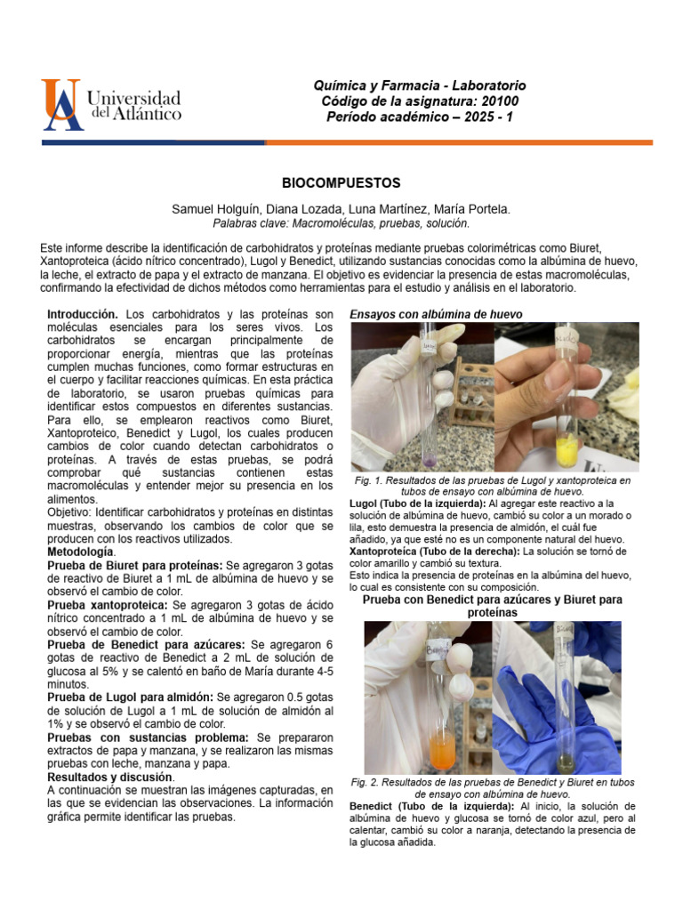 MODELO INFORME DE PRÁCTICA DE LABORATORIO.docx (1) | PDF | Proteínas | Carbohidratos
