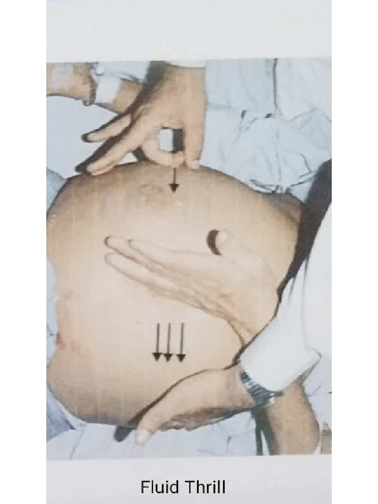 Spotter Images Physiology | PDF