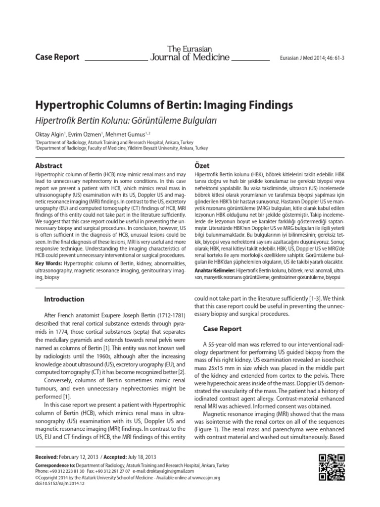 Hypertrophic Columns of Bertin. Imaging Findings | PDF | Magnetic ...