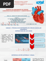 Anatomía y disección de la arteria mamaria interna | PDF | Tórax | Aorta