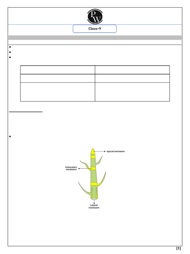 65ddacdd57c0fc0018c85c1d - ## - Tissues Short Notes | PDF | Tissue ...