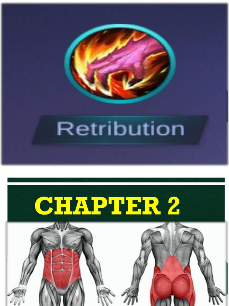 Chapter 2 Core Stability Exercise | PDF | Abdomen | Physical Fitness