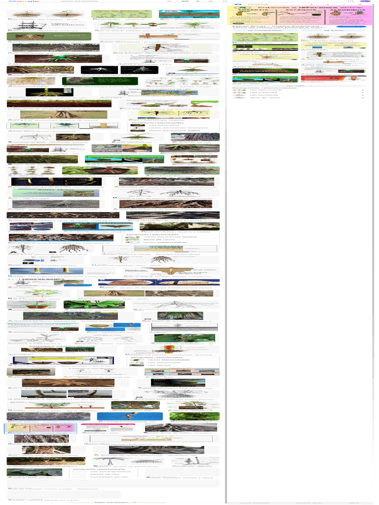 raizes adventicias - Pesquisa Google | PDF | Raiz | Morfologia vegetal