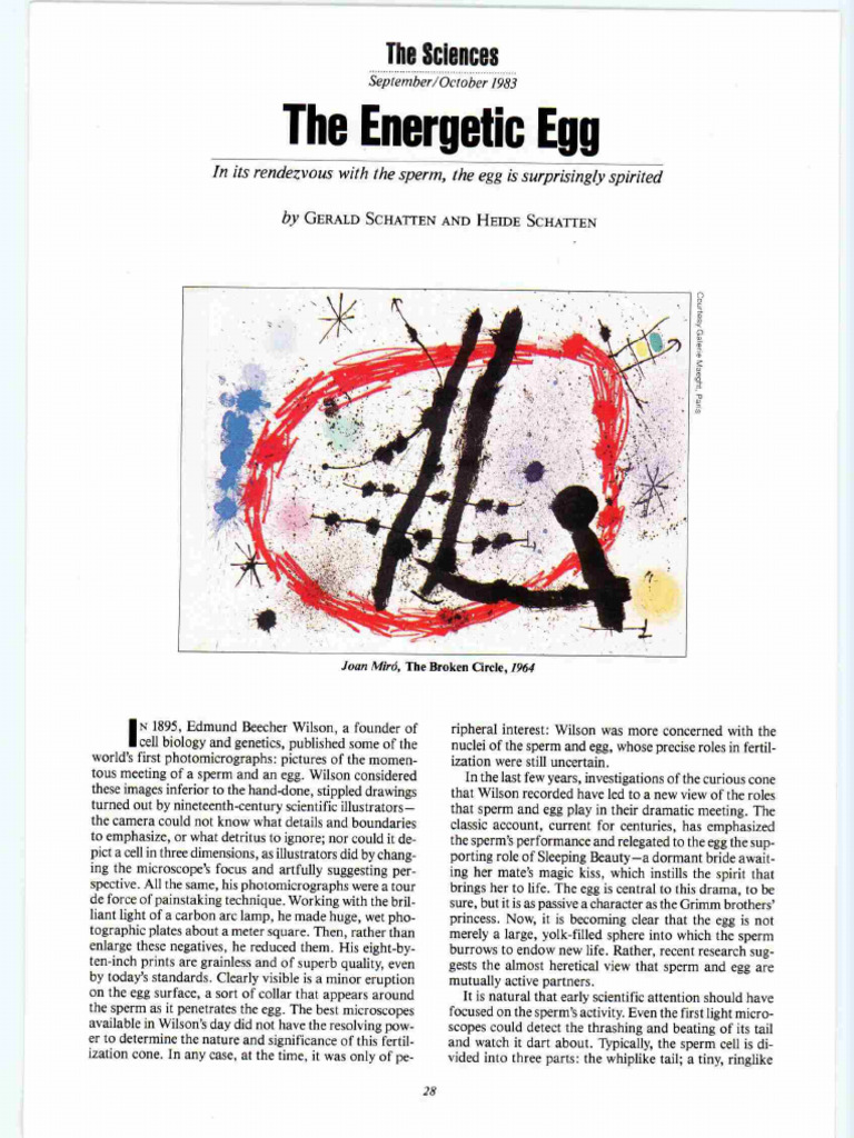 Schatten Energetic Egg 1983 | PDF