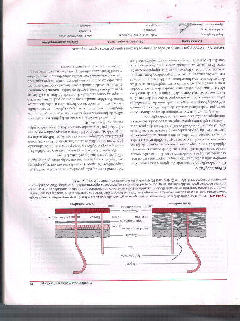 CCF10122021 0003 | PDF