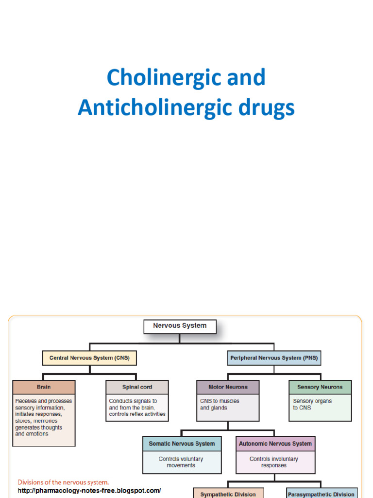 Cholinergic and Anticholinergic drugs (1) | PDF | Acetylcholine ...