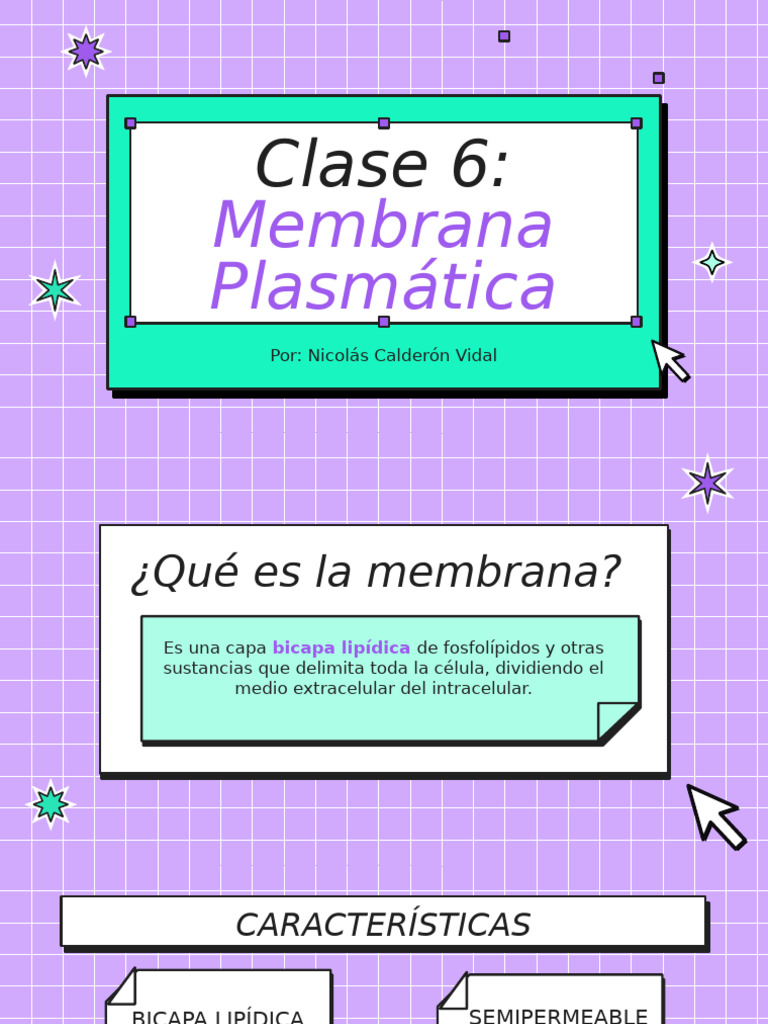 Clase Membrana Celular | PDF