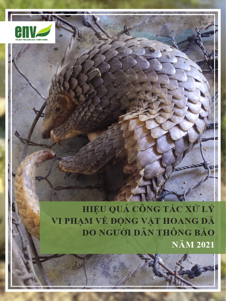 Tai Lieu Dinh Kem 788 Cua ENV | PDF